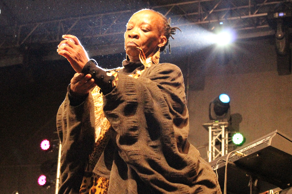 Africa Day gig gets the cold shoulder | Music In Africa
