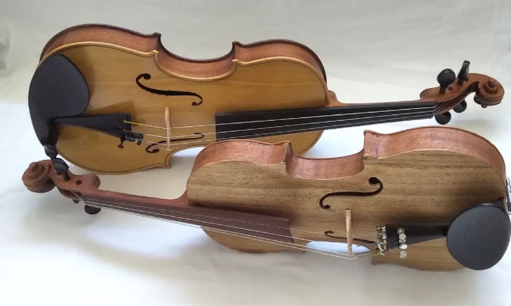 An African violin? New study tests which indigenous woods could make ...