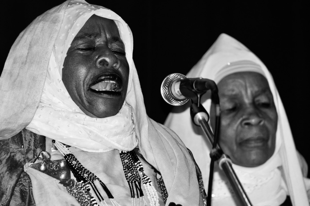 Artistes des musiques traditionnelles en Algérie : entre héritage ...