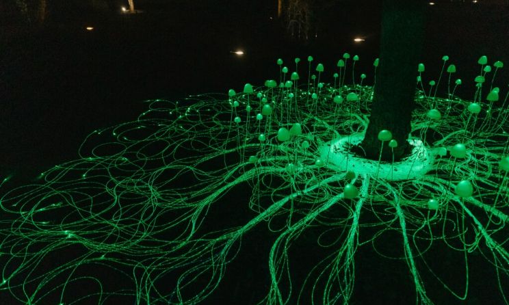 Open call: Spier Light Art Festival 2025 | Music In Africa