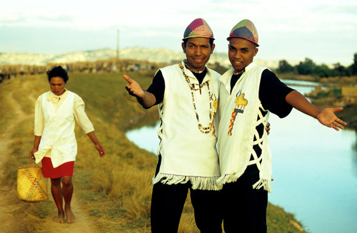 Senge | Music In Africa