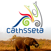 Culture, Art, Tourism, Hospitality and Sport Education and Training ...