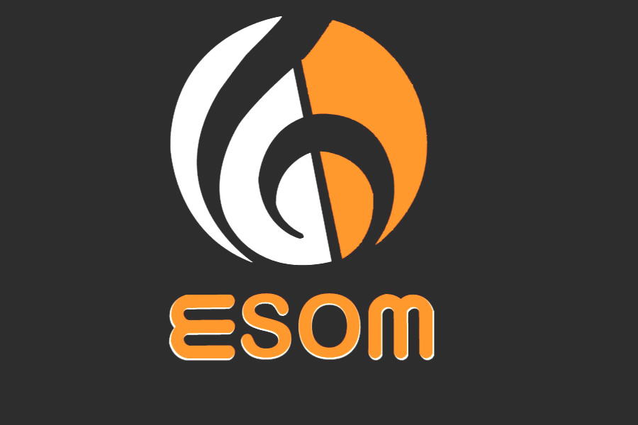 ESOM School of Music | Music In Africa