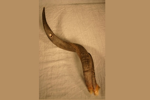 Zimbabwe Music Instrument Collection | Music In Africa