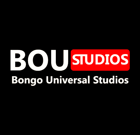 Bou Studios | Music In Africa