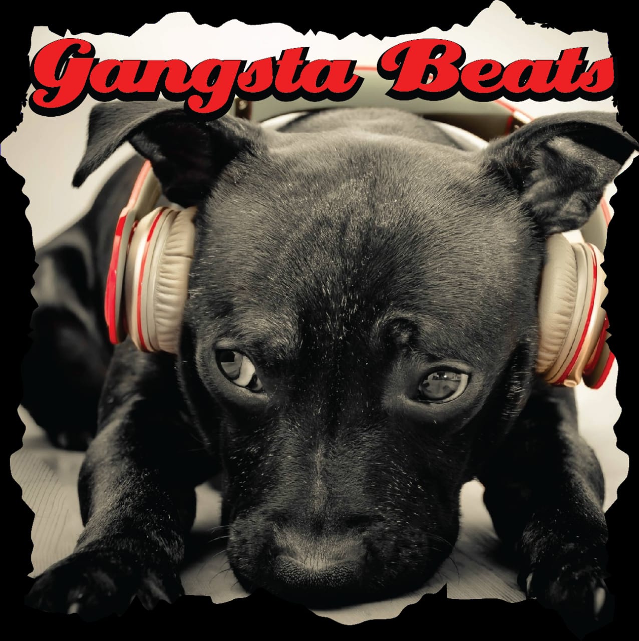 Gangsta Beats | Music In Africa