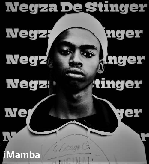 Negza De Stinger | Music In Africa