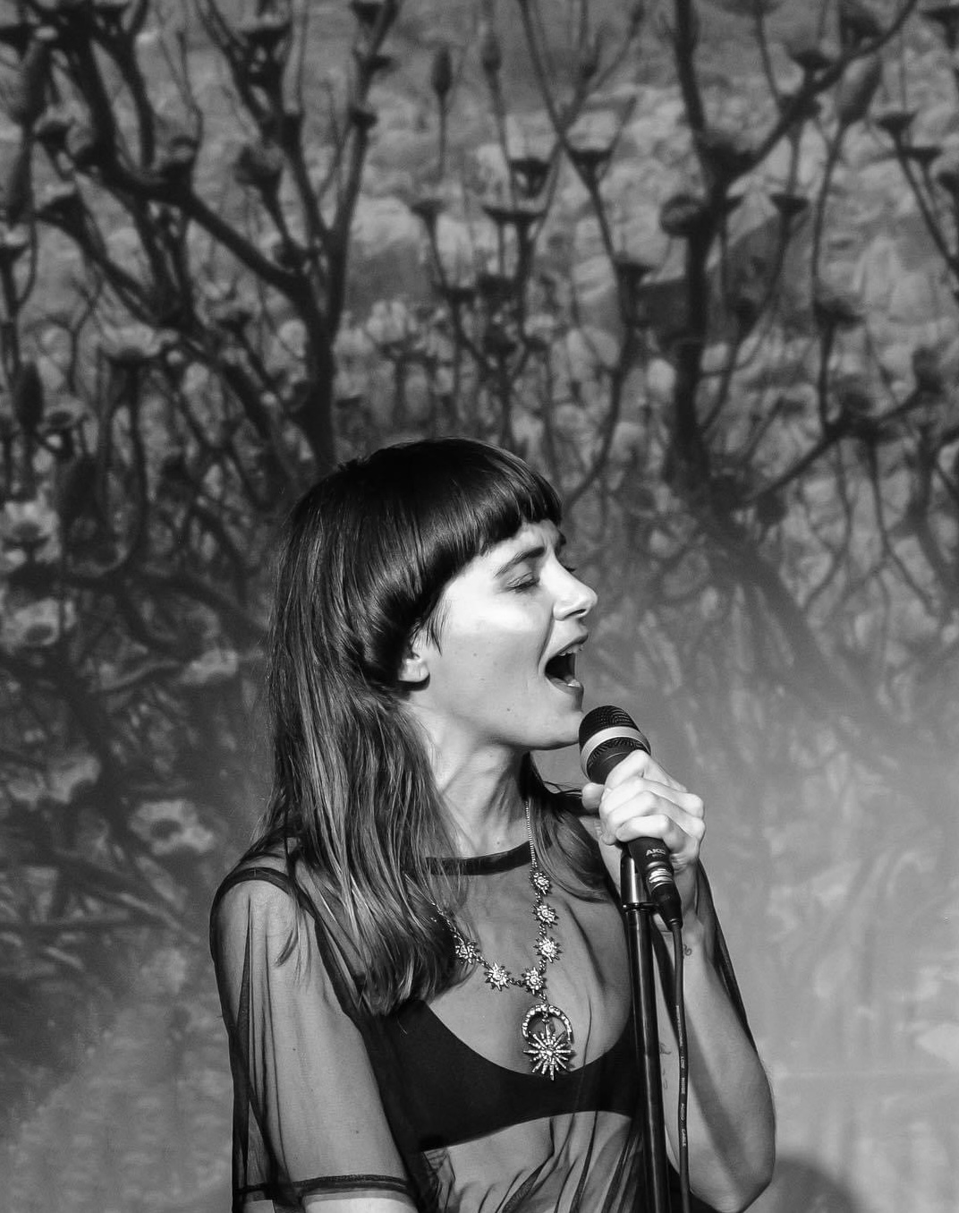 Kayla The Crow | Music In Africa
