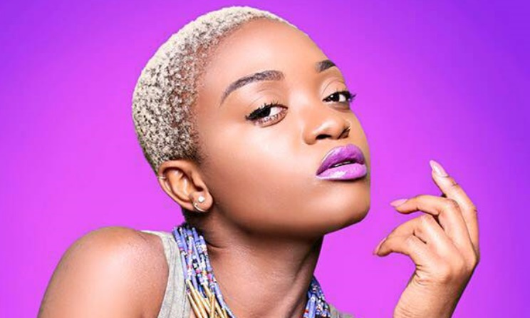UMP Malawi unveils festival, awards dates | Music In Africa
